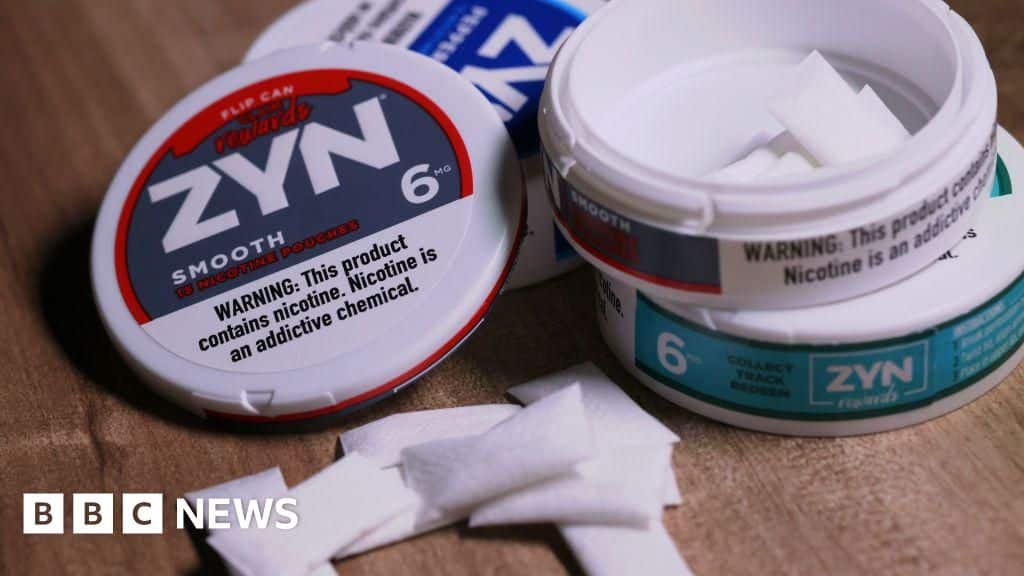 Nicotine Mouth Pouches: Enjoy Nicotine Without Smoking